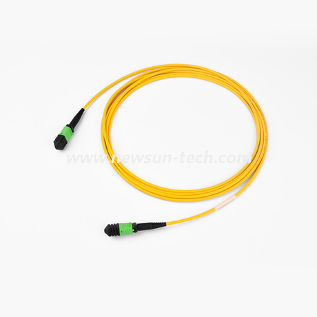 MPO/MTP Fiber Optic 6,8,12,24 Core Singlemode Multimode MPO MTP Patch ...