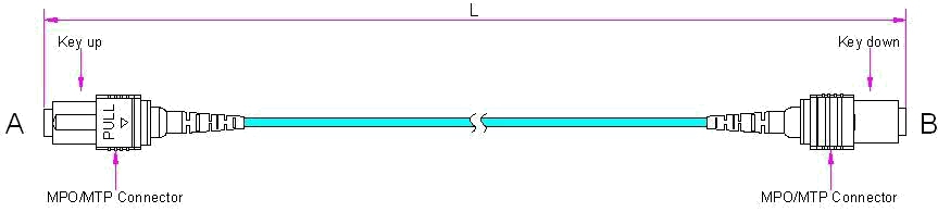 MPO/MTP Fiber Optic 6,8,12,24 Core Singlemode Multimode MPO MTP Patch ...